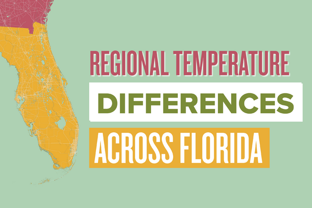 Regional Temperature Differences Across Florida: A Closer Look